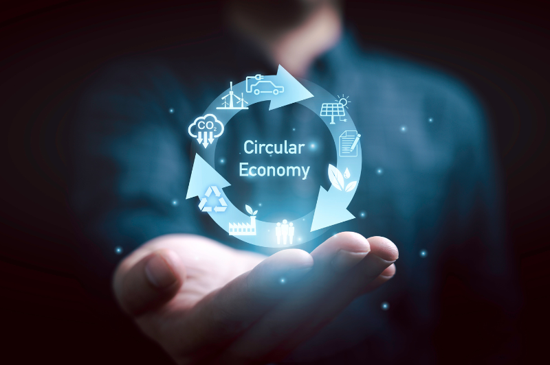 Design For Circularity Asi Principles And Guidelines